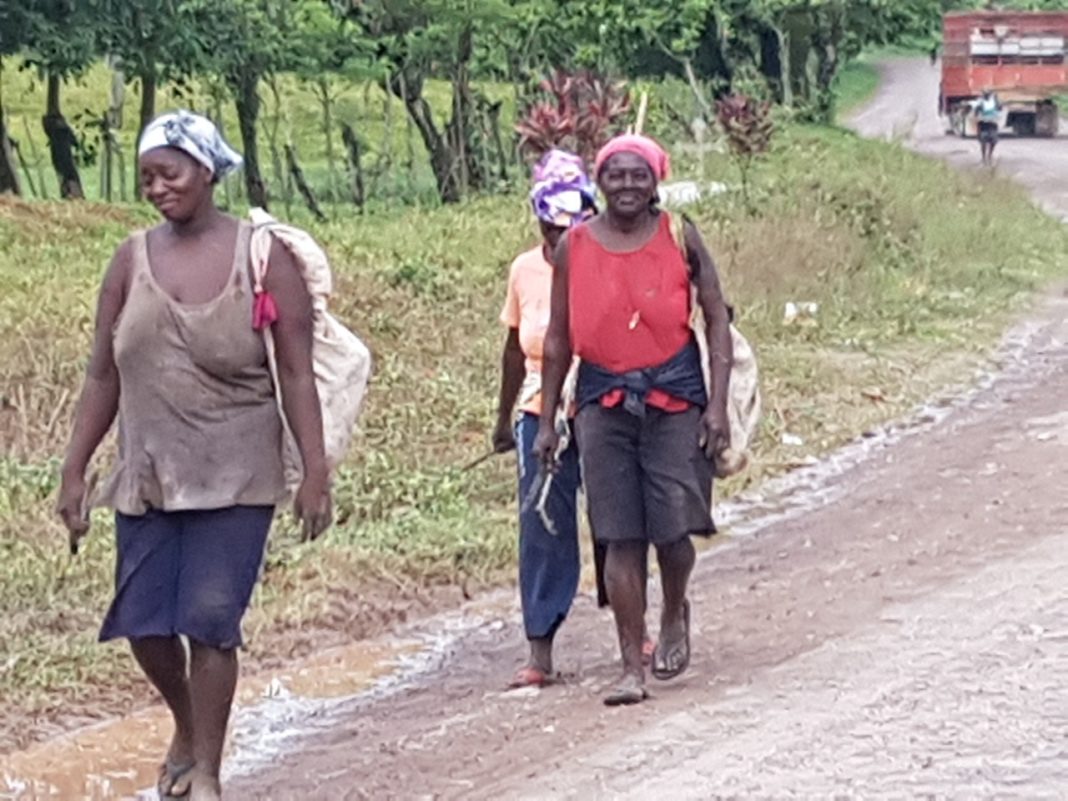 Los Garífunas: la cultura Matrifocal de Honduras que lucha contra su ...